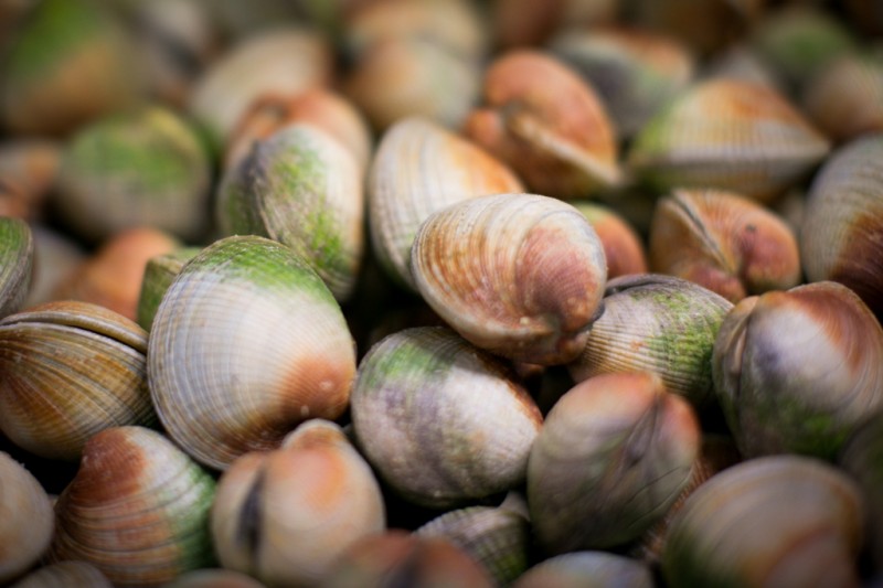 Southern Clams harvests data and reaps the benefits